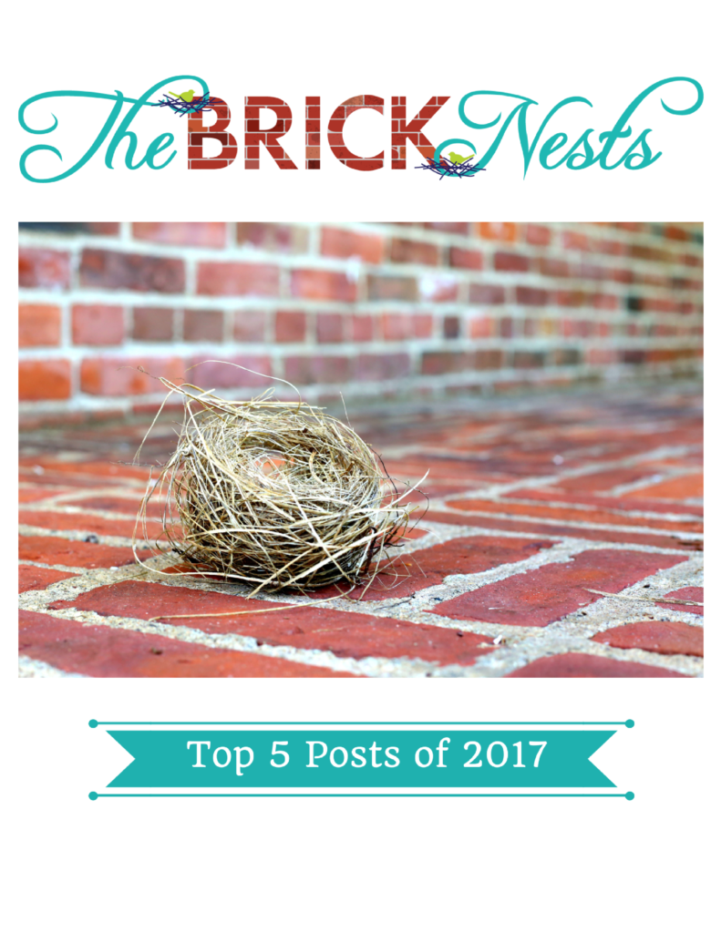 Top Five Posts of 2017 - The Brick Nests